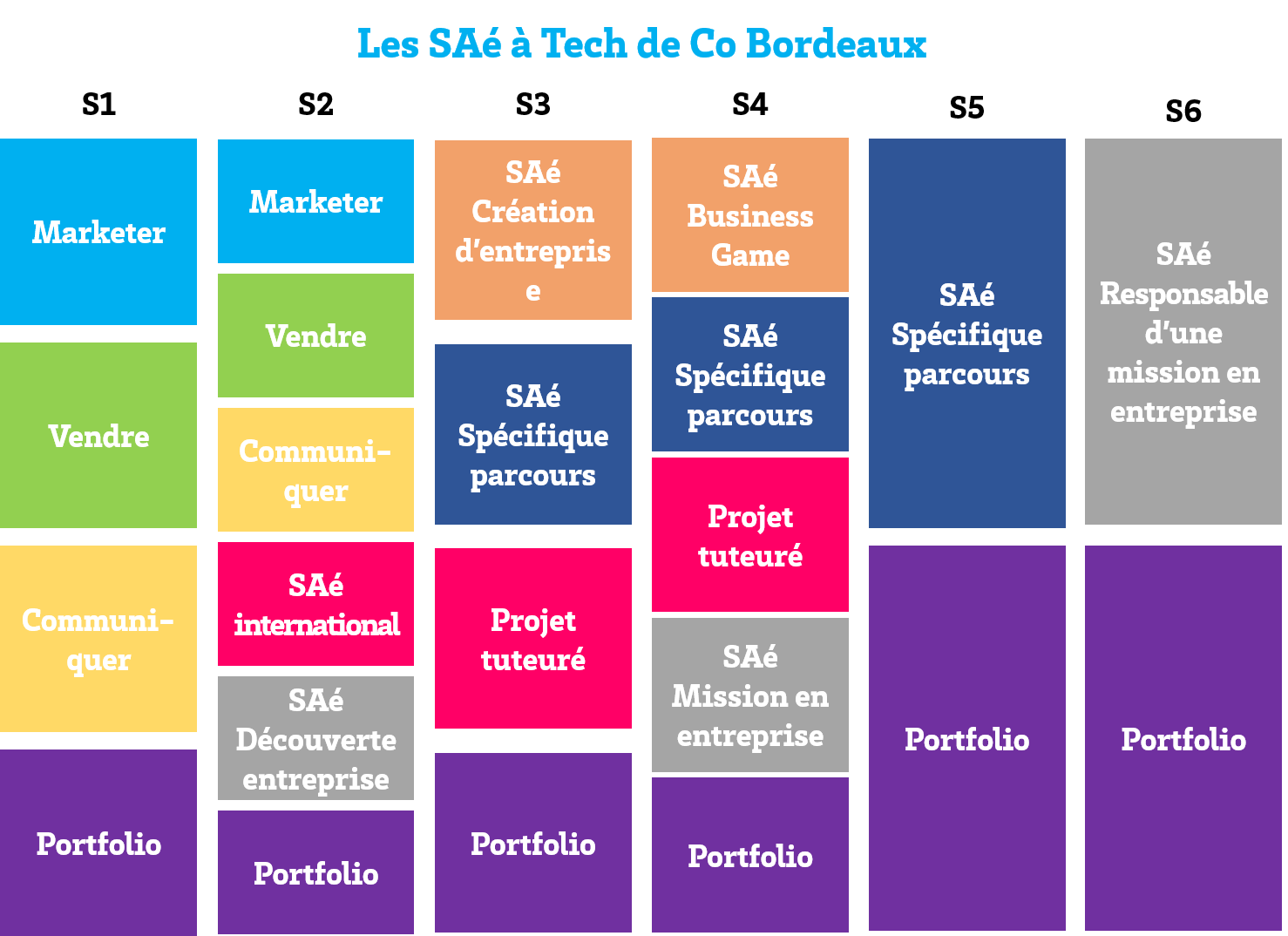 Les Situations d'Apprentissage et d'Evaluation (SAé) - IUT Tech de Co ...